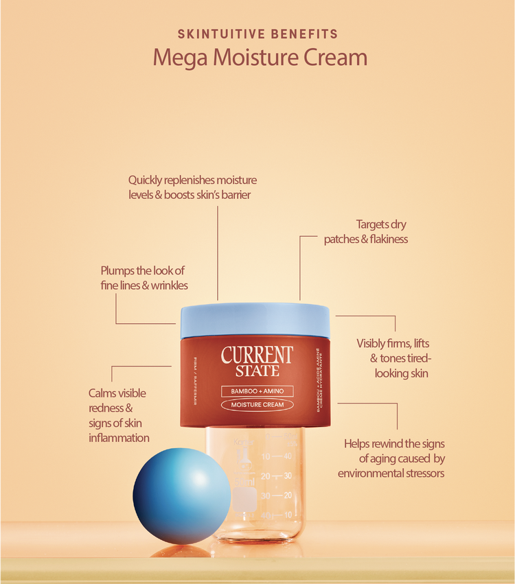 Bamboo + Amino Mega Moisture Cream – Current State